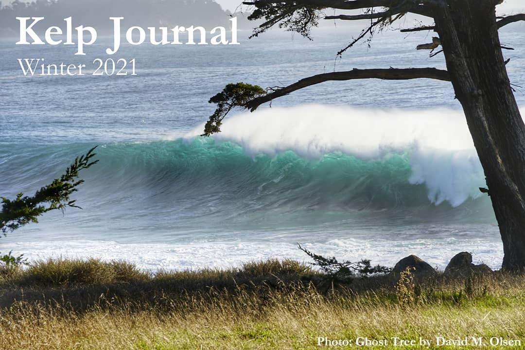 New story in Kelp Journal – Ben Loory